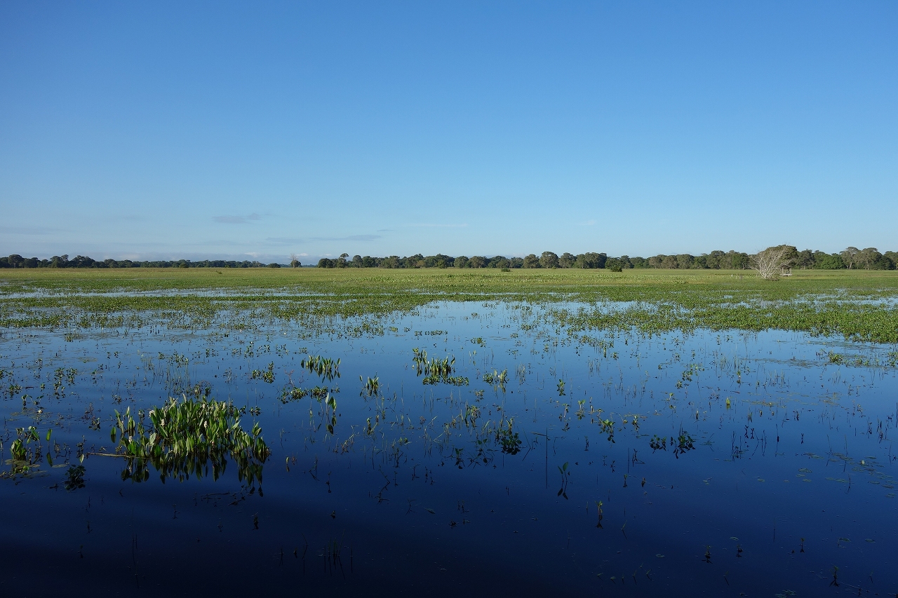 旅行：ブラジル国内: rurueのブラジル日記